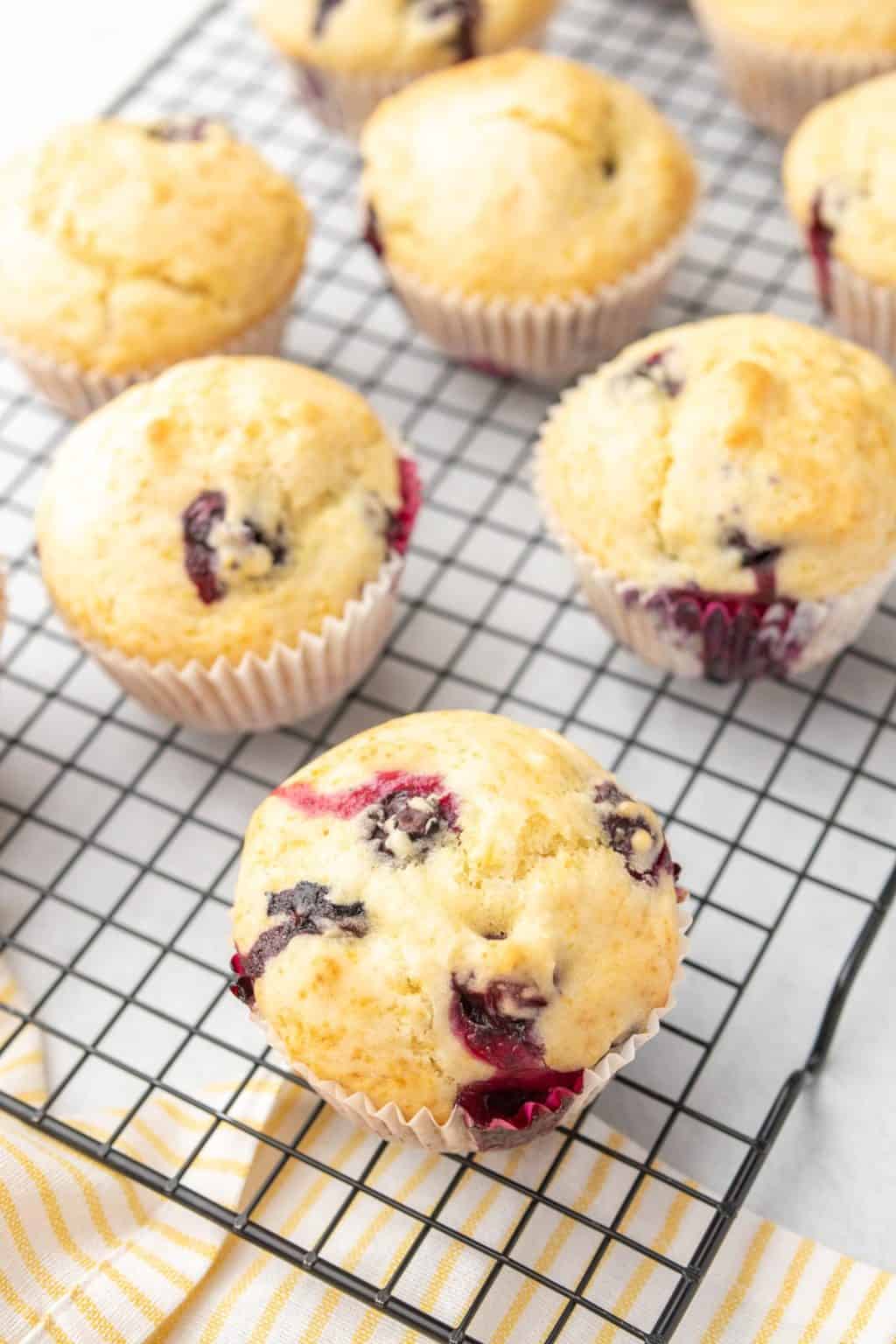 Easy Blueberry Muffins without Egg - From My Pantry
