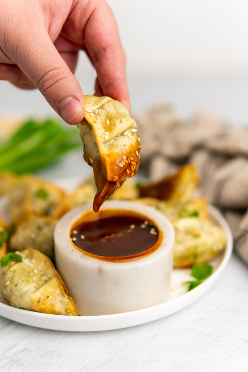 Mini Wontons in Air Fryer - From My Pantry